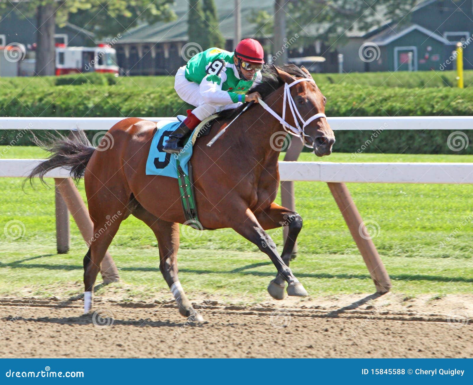 Filly Breaks Stock Photos - Free & Royalty-Free Stock Photos from ...