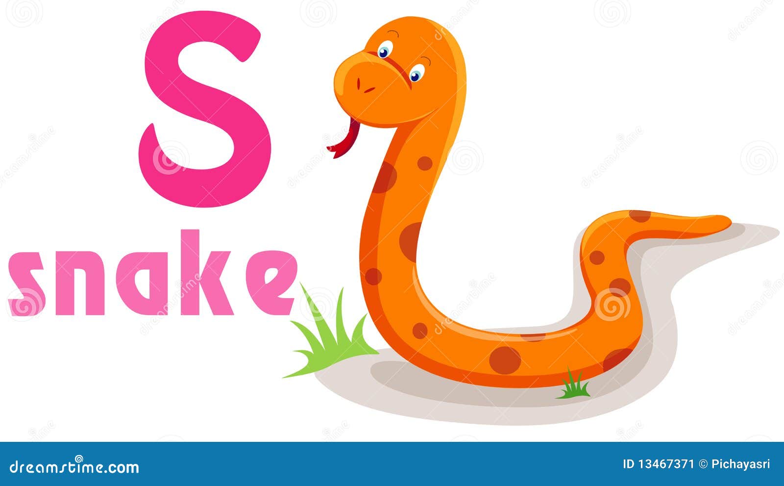 Alfabeto animal S ilustración del vector. Ilustración de feliz - 13467371