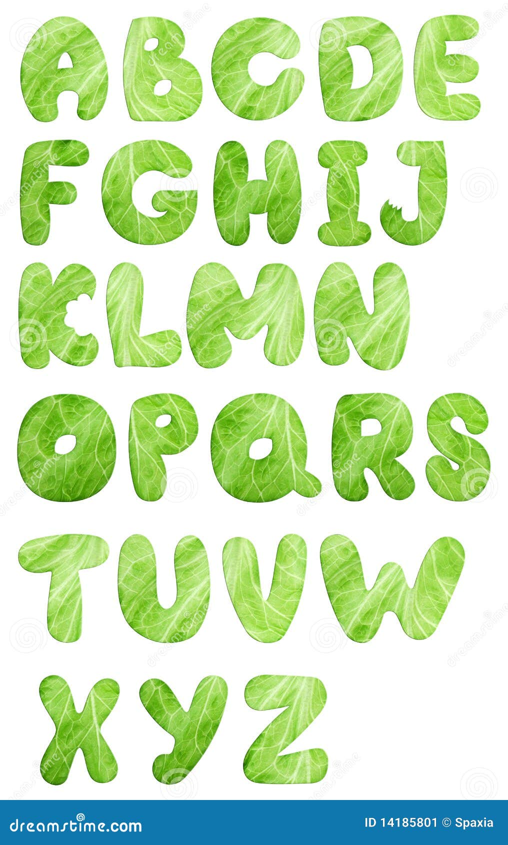 Alfabeto De La Ensalada De La Lechuga Stock de ilustración ...