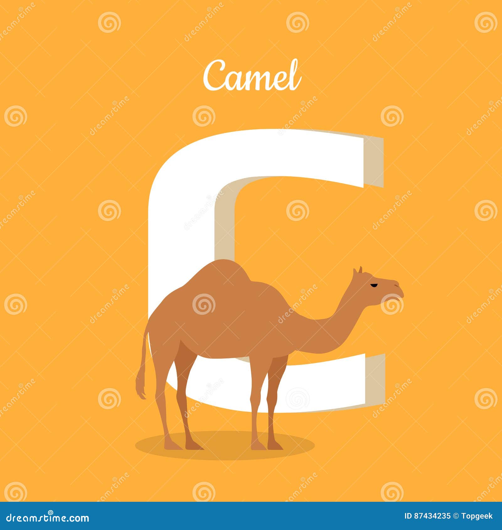 Alfabeto Dos Animais Letra - C Ilustração do Vetor - Ilustração de ...