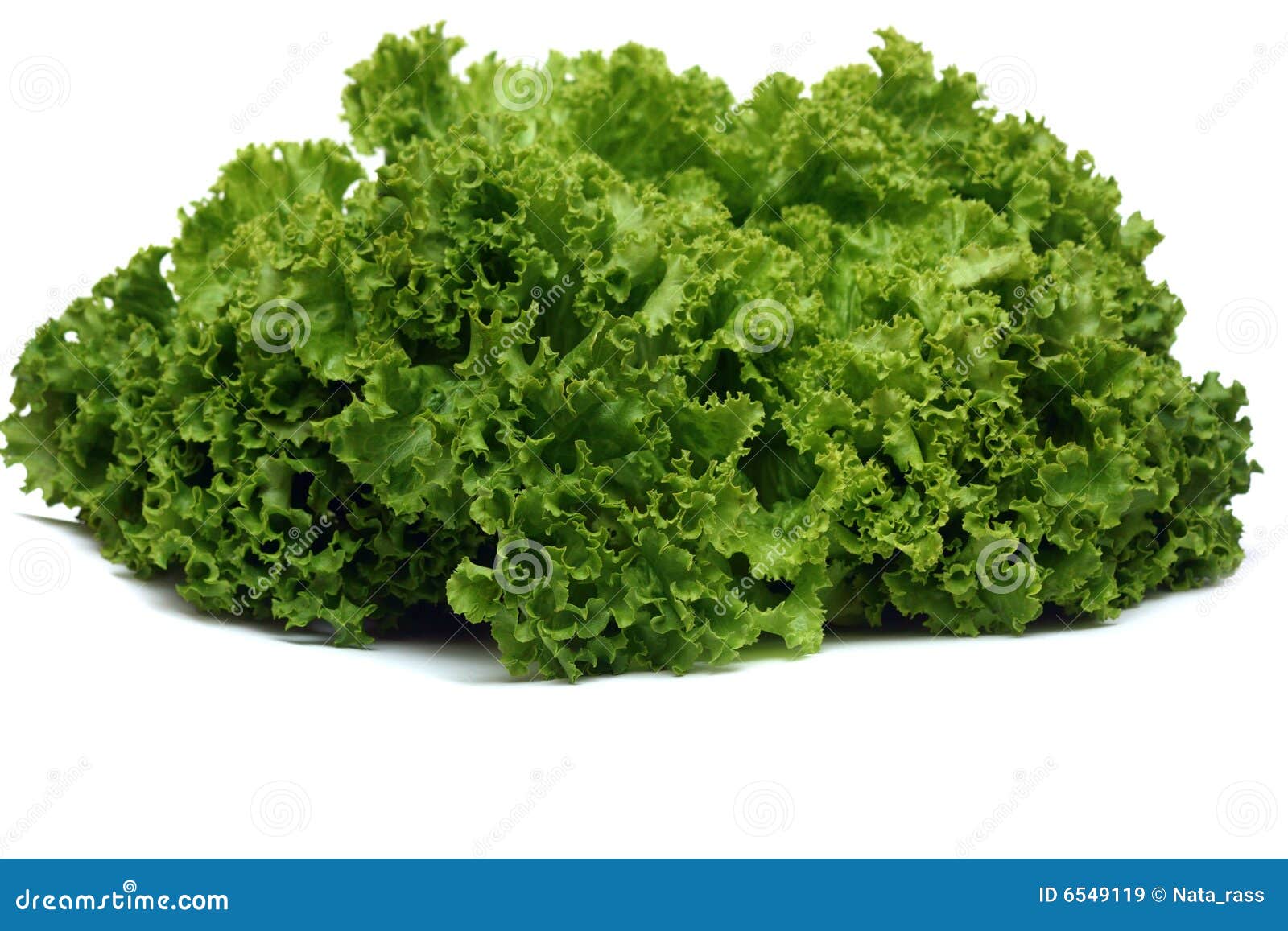 Alface verde imagem de stock. Imagem de folhagem, fundo - 6549119