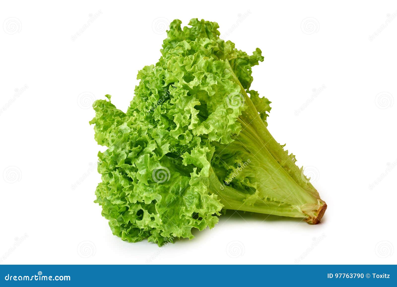 Alface Verde E Crua Fresca Isolada No Fundo Branco Foto de Stock ...