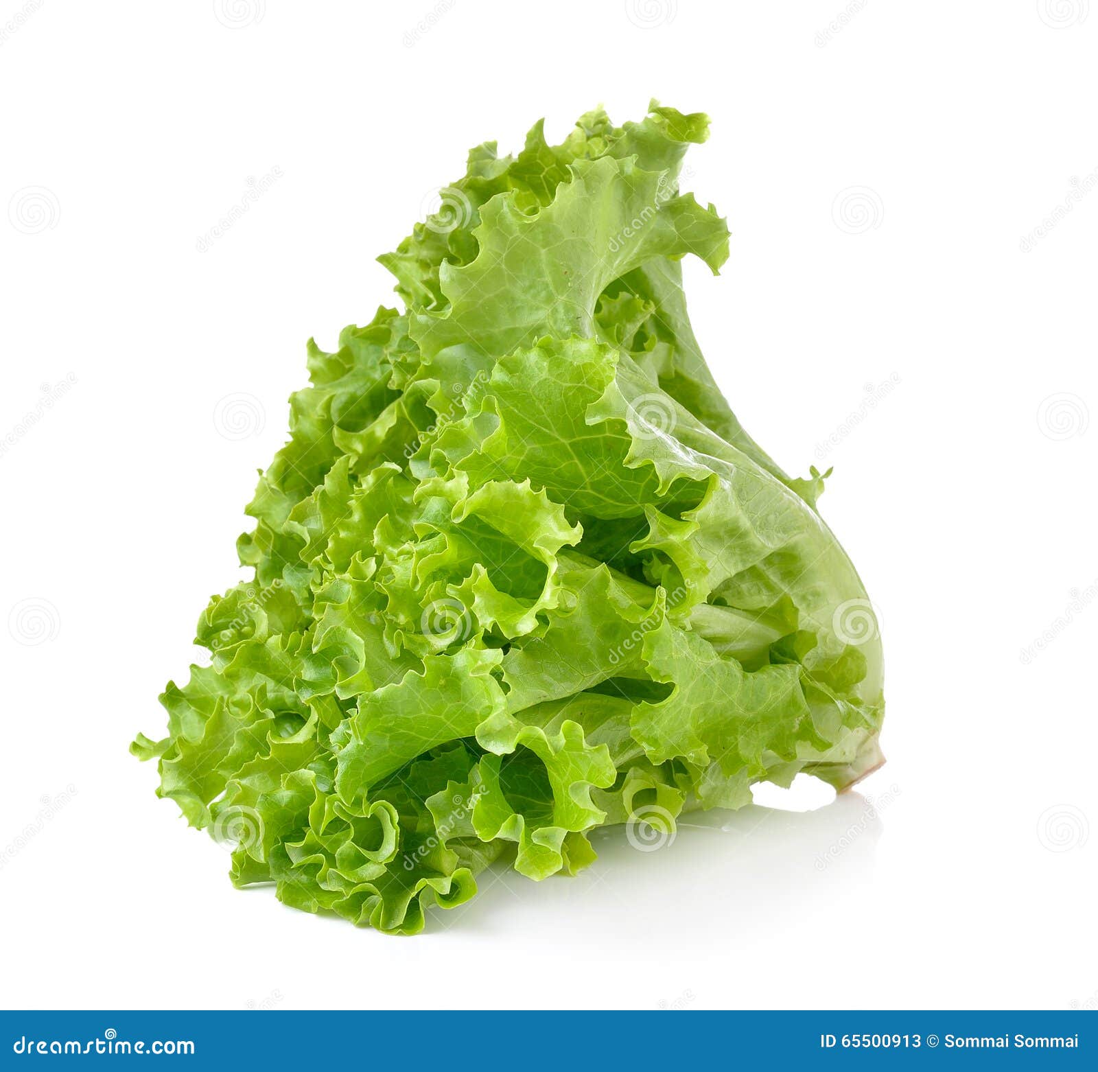 Alface Verde Fresca Isolada No Fundo Branco Imagem de Stock - Imagem de ...