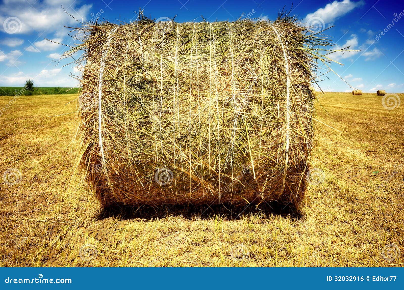 Hay Stacks Nature Landscape Fields Stock Photo - Image of harvest ...