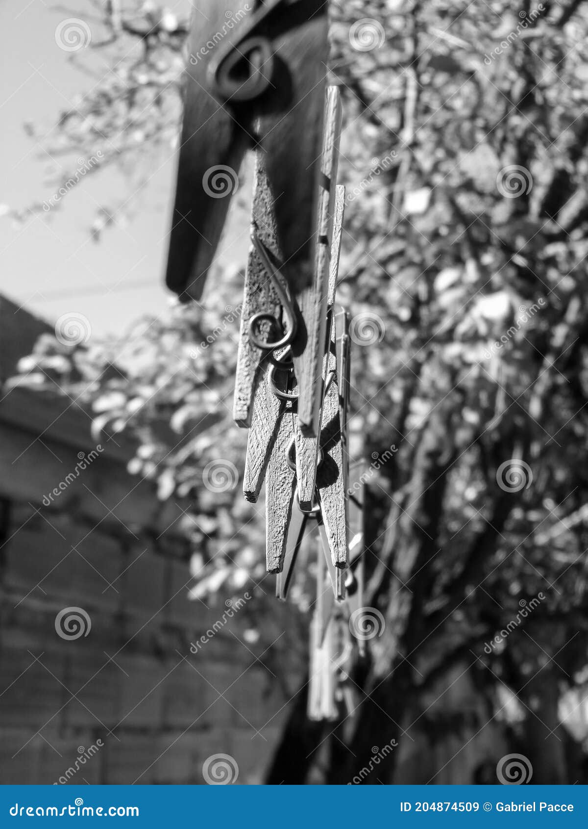 Alfiler De Ropa En Un Cable Imagen de archivo - Imagen de material ...