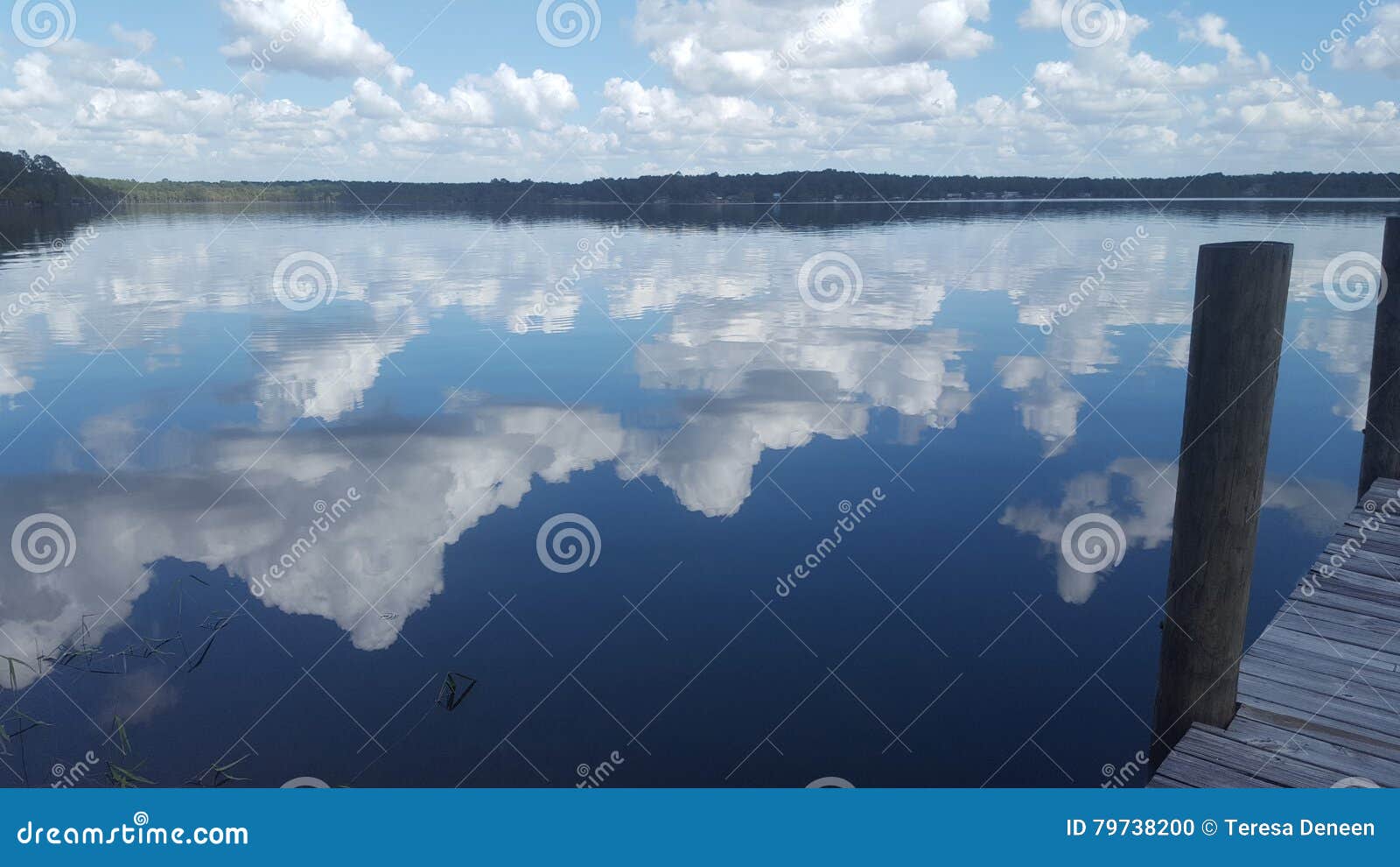 Alford, florida stock photo. Image of florida, compass - 79738200