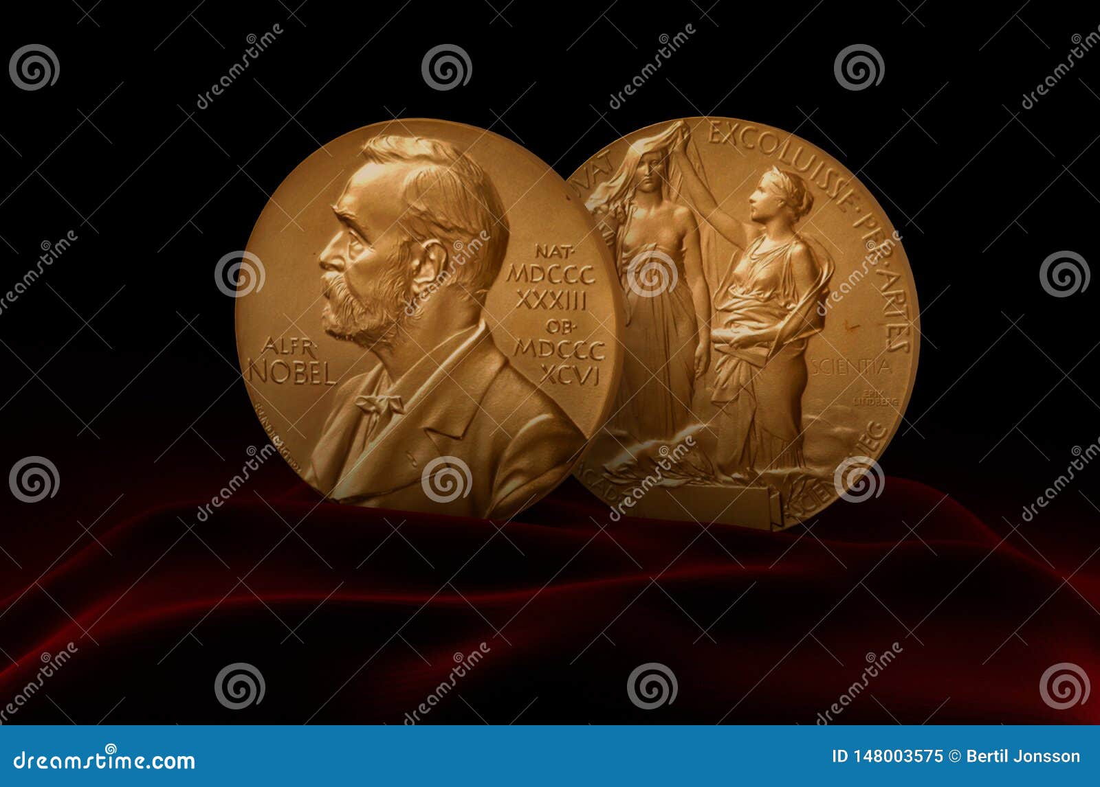 Alfred Nobel Prize editorial image. Image of literature - 148003575