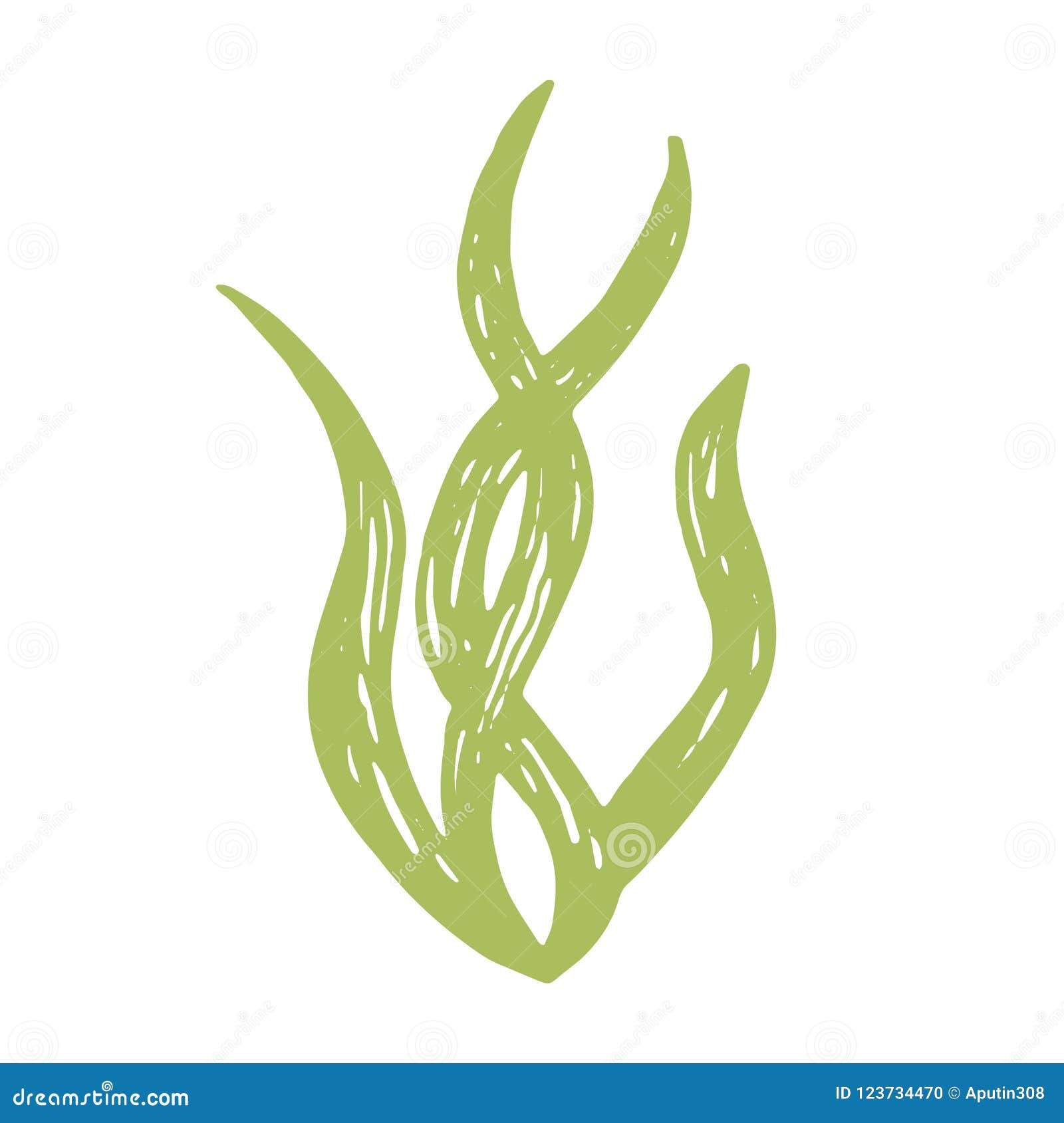 Alga Green Drawing. Marine Plant Isolated Stock Vector - Illustration ...