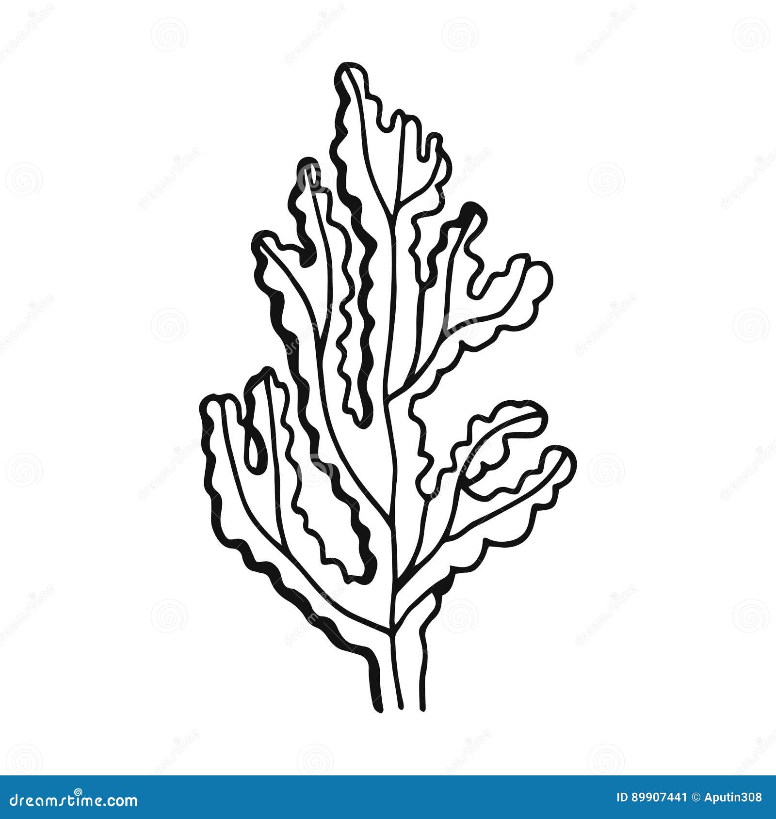 An Alga Sketch Vector Isolated Stock Vector - Illustration of palm ...