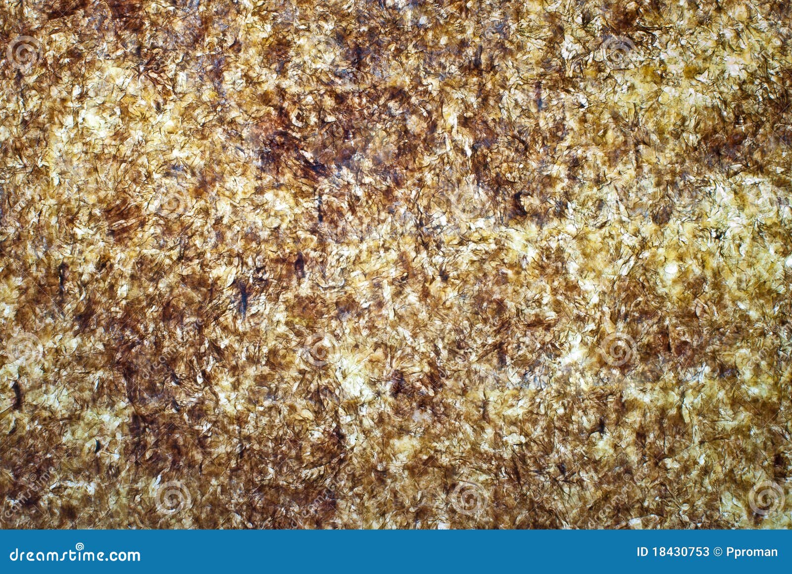 Algae stock image. Image of backdrop, paper, healthy - 18430753