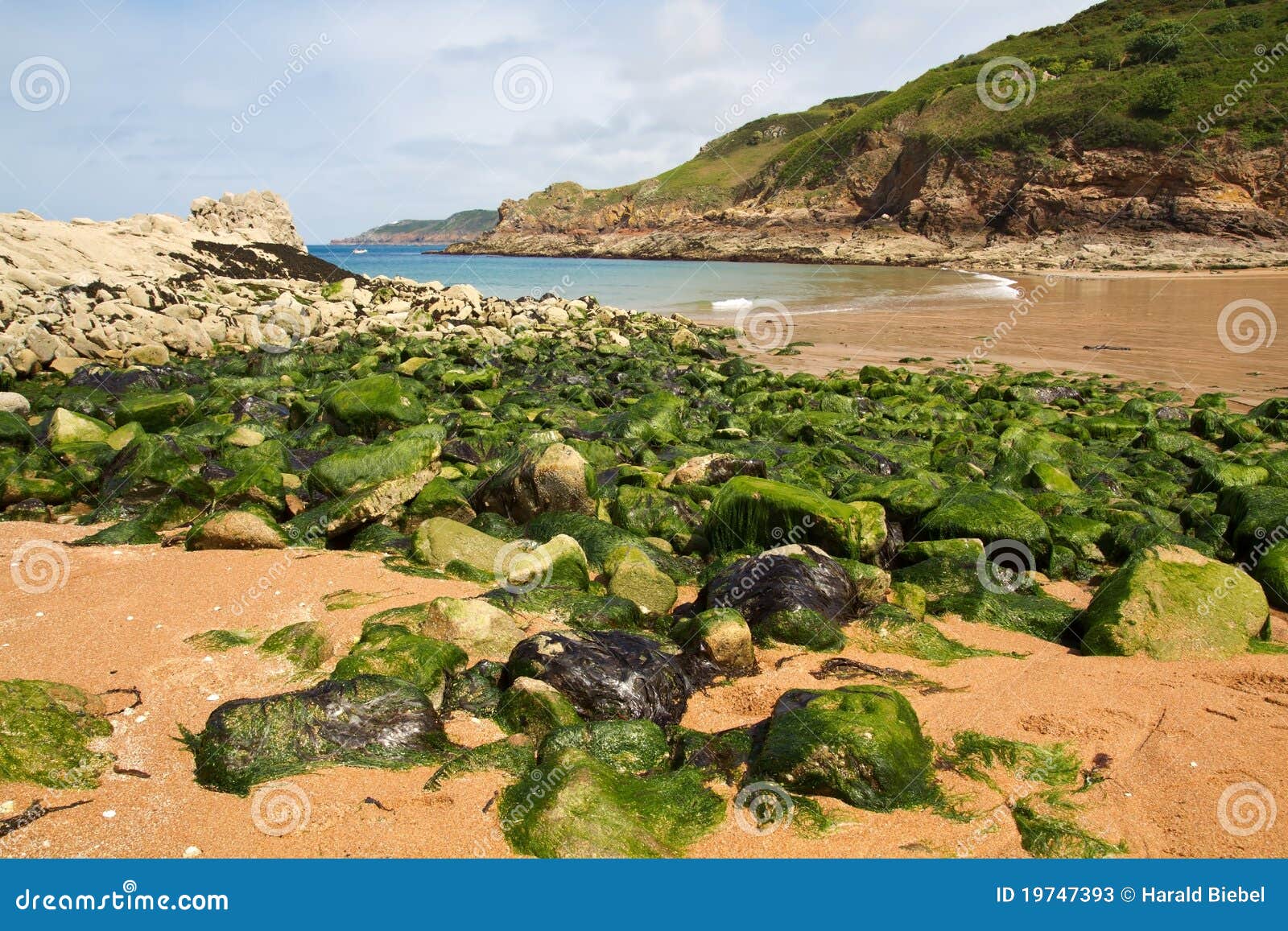 Algae on a beach stock image. Image of stones, blue, channel - 19747393