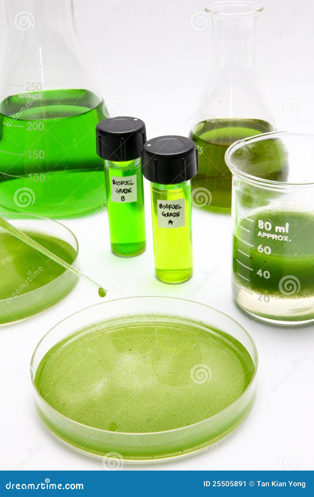 Algae biofuel stock image. Image of renewable, environmental - 25505891