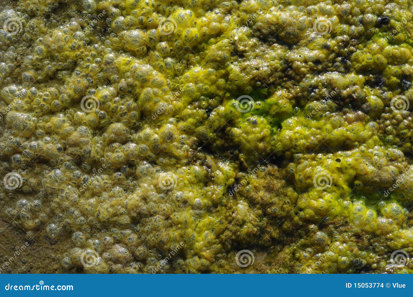 Disgusting Bubbling Sewage Background Stock Photo | CartoonDealer.com ...
