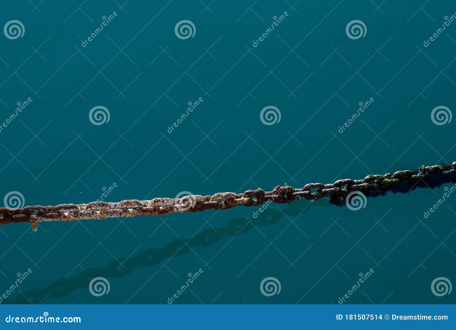 Algae Chain Under the Turquiose Sea Water Stock Photo - Image of ocean ...