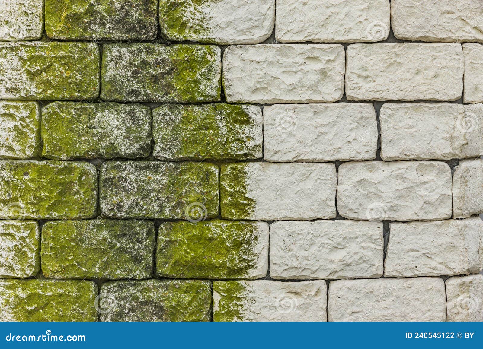 Algae Coating on a Stone Wall Stock Photo - Image of coating, growth ...