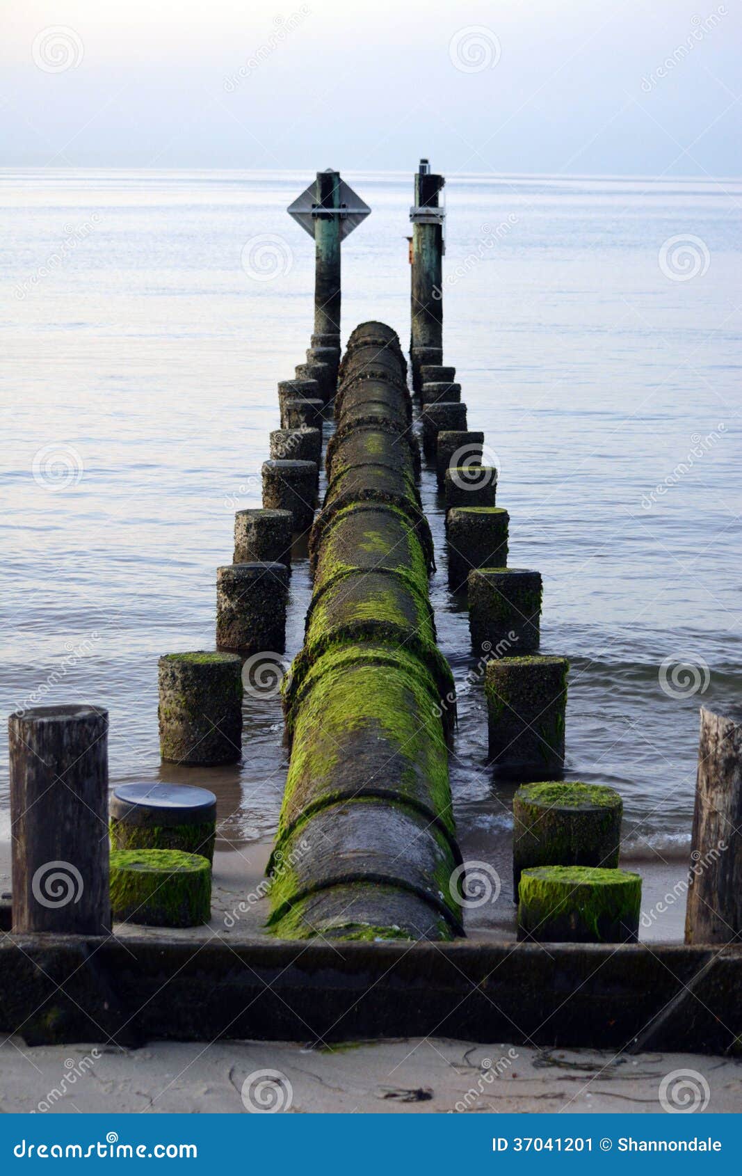 Algae covered pipe stock image. Image of algae, clog - 37041201