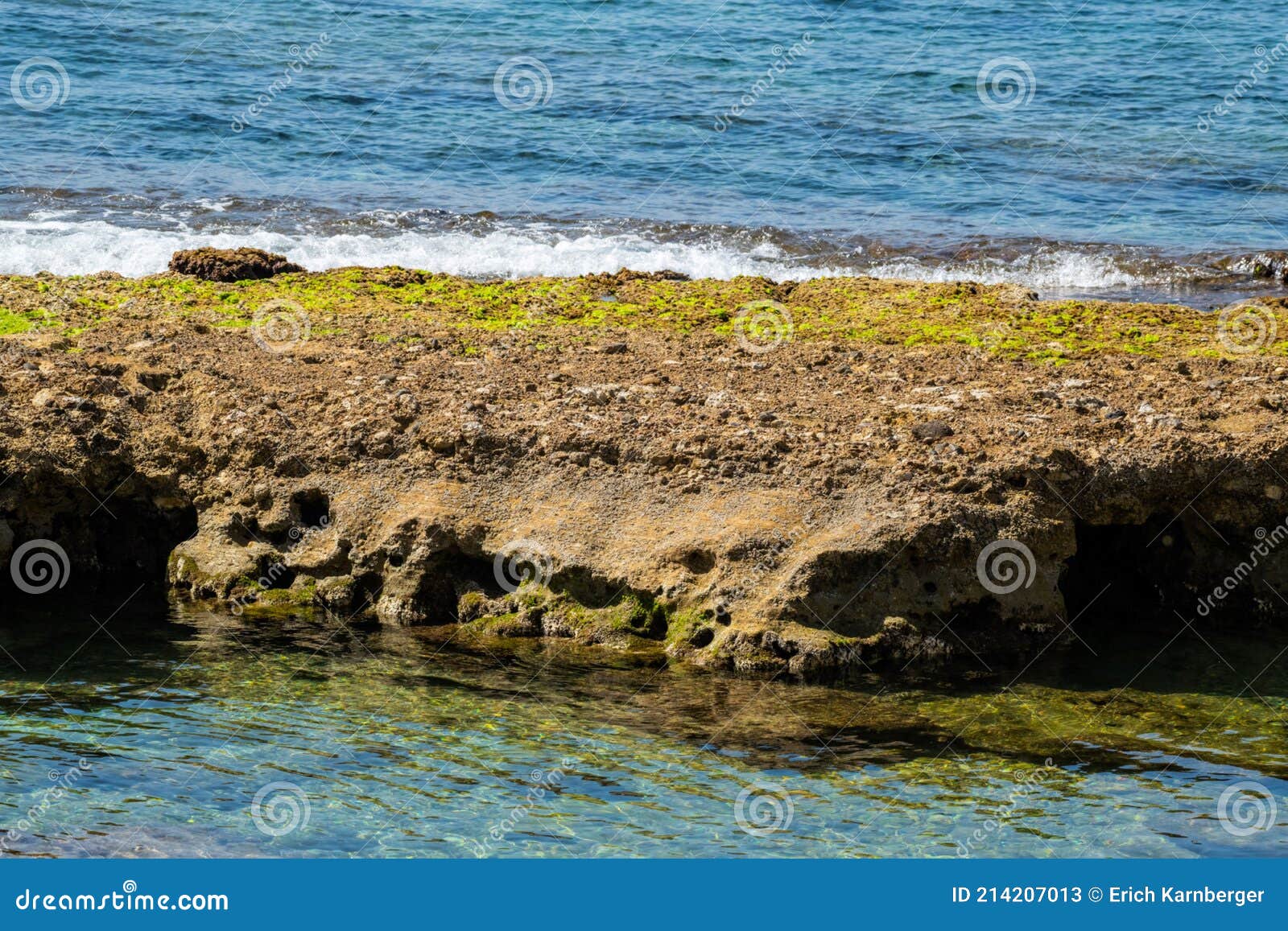 Algae Covered Rock in the Sea Stock Image - Image of marine, landscape ...