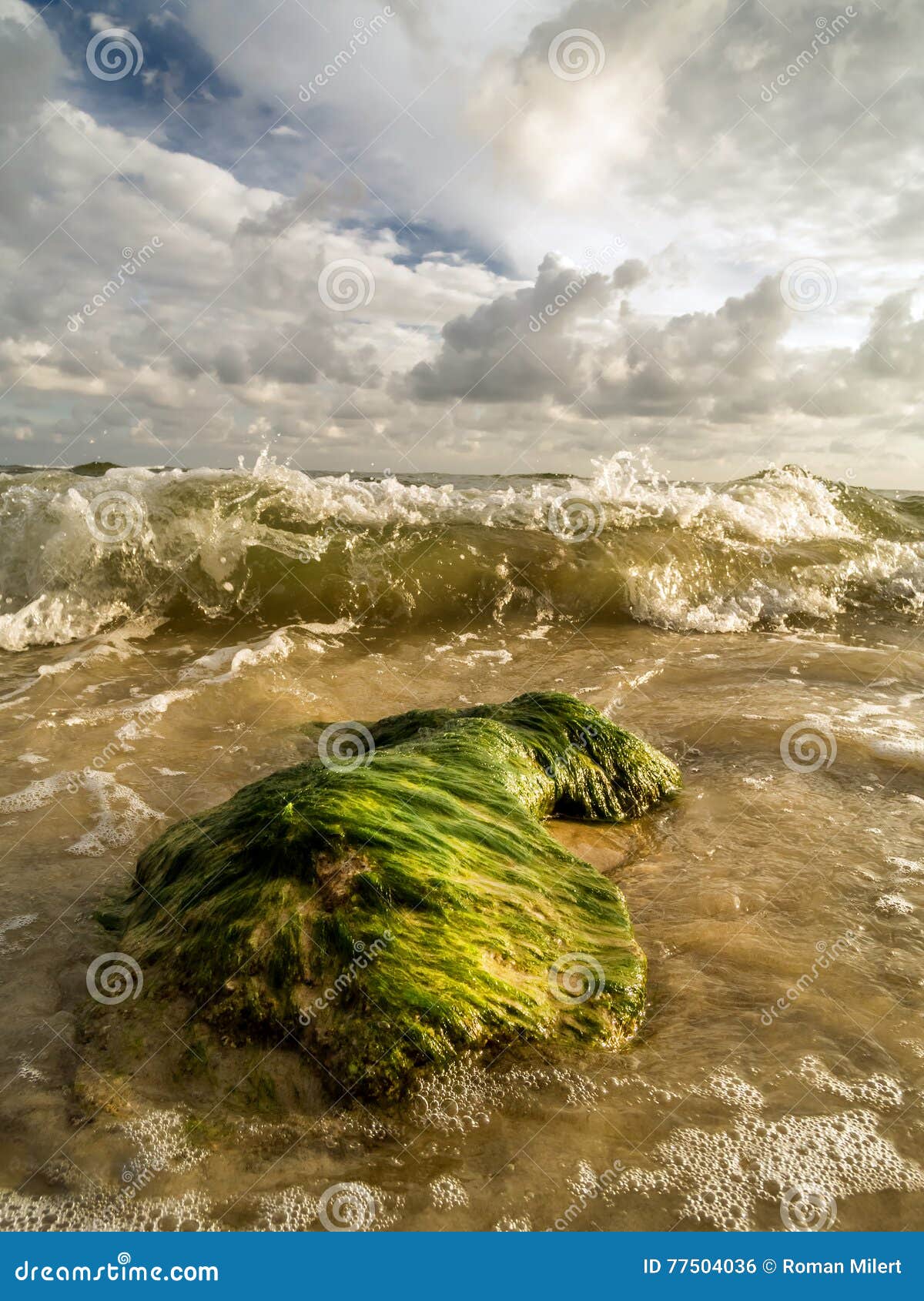 Algae Covered Rock Washed by Sea Waves Stock Photo - Image of weather ...