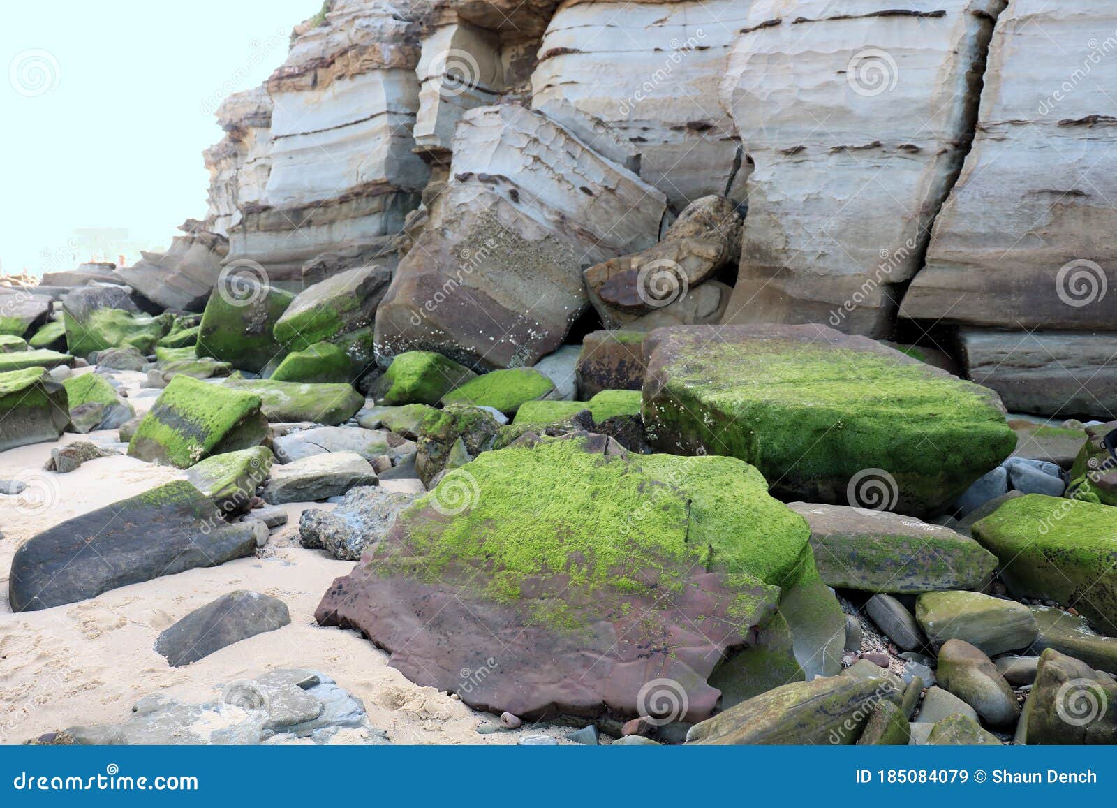 Algae Covered Rocks at the Base of a Cliff Stock Image - Image of ...