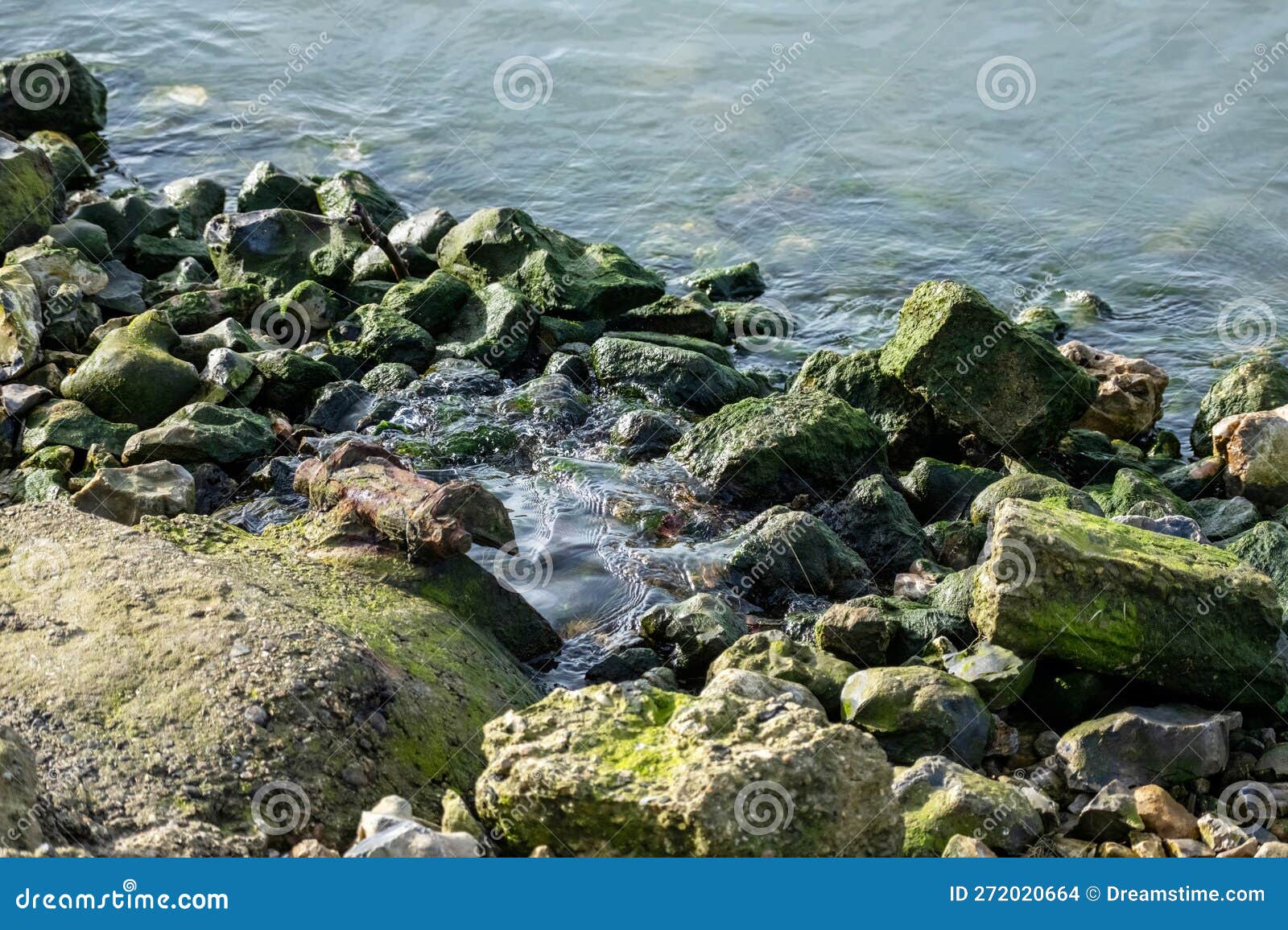 Algae Covered Rocks on the Riverbank Stock Photo - Image of shore ...
