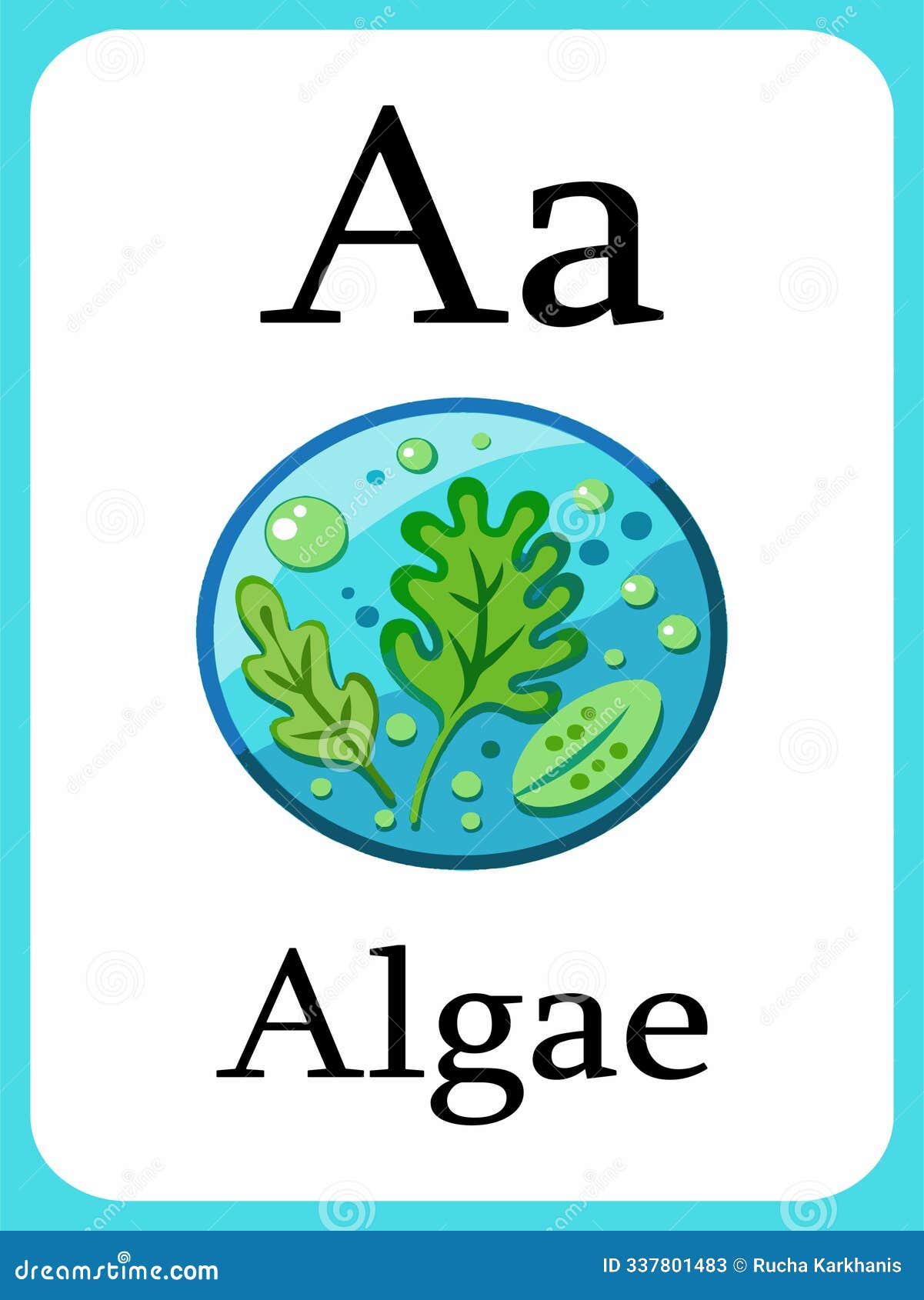 Algae Flashcard Education for Small Kids Stock Illustration ...