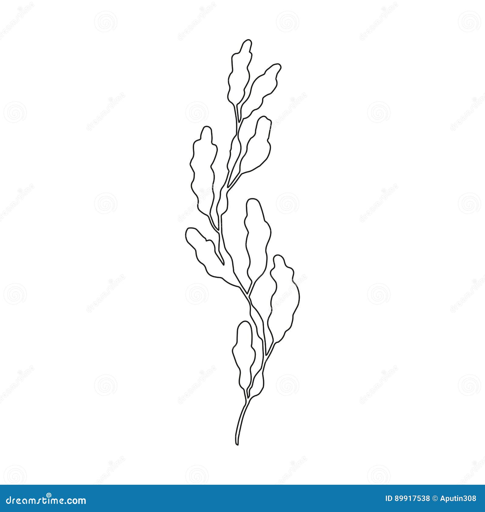Algae hand drawing vector stock vector. Illustration of icon - 89917538