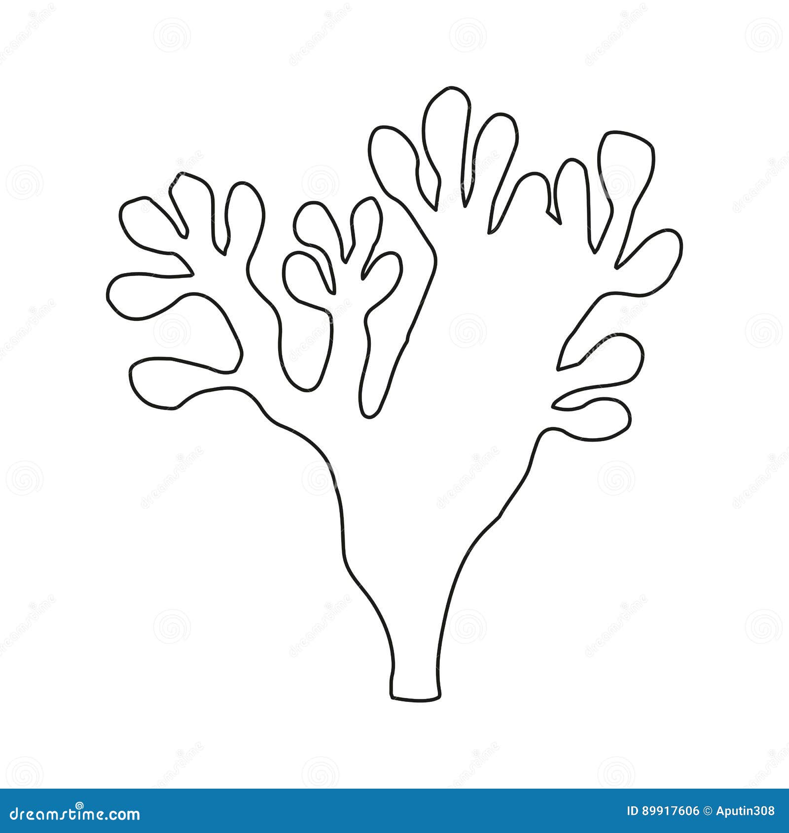 Algae hand drawing vector stock vector. Illustration of tropical - 89917606