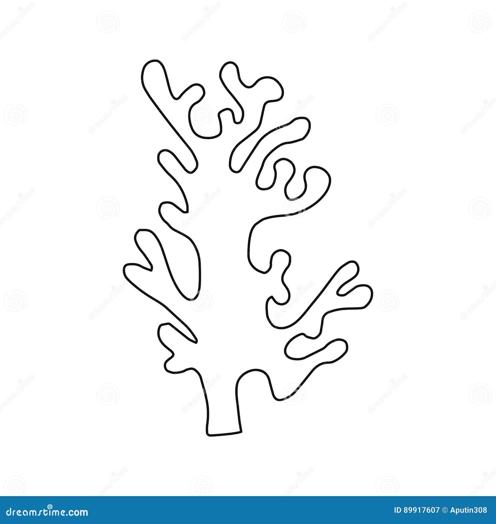 Algae hand drawing vector stock vector. Illustration of border - 89917607