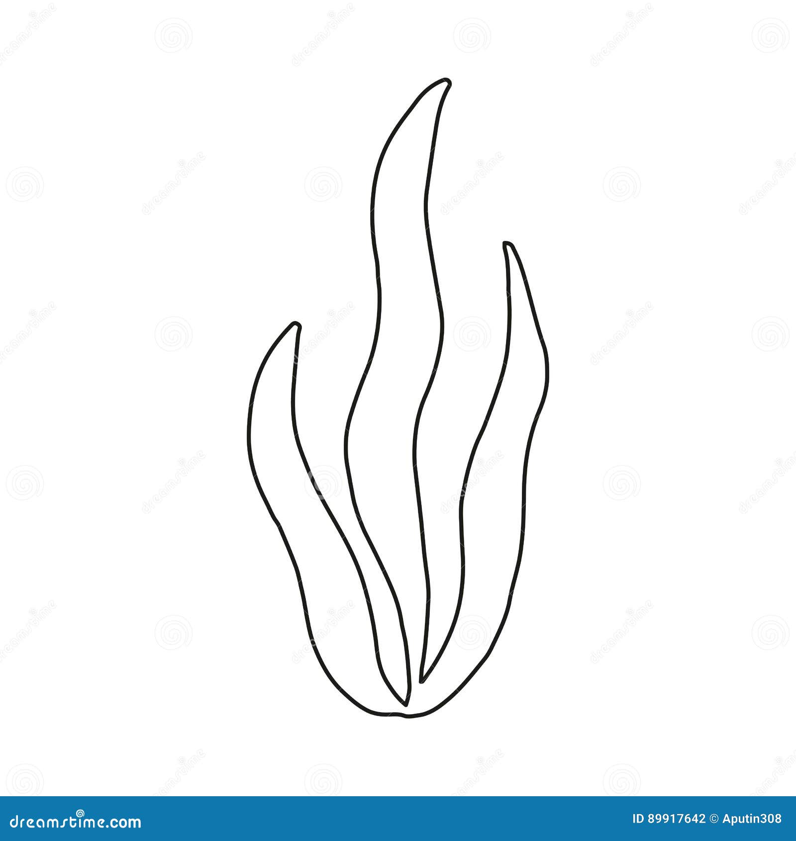 Algae hand drawing vector stock vector. Illustration of palm - 89917642 Algae hand drawing vector stock vector. Illustration of palm - 89917642