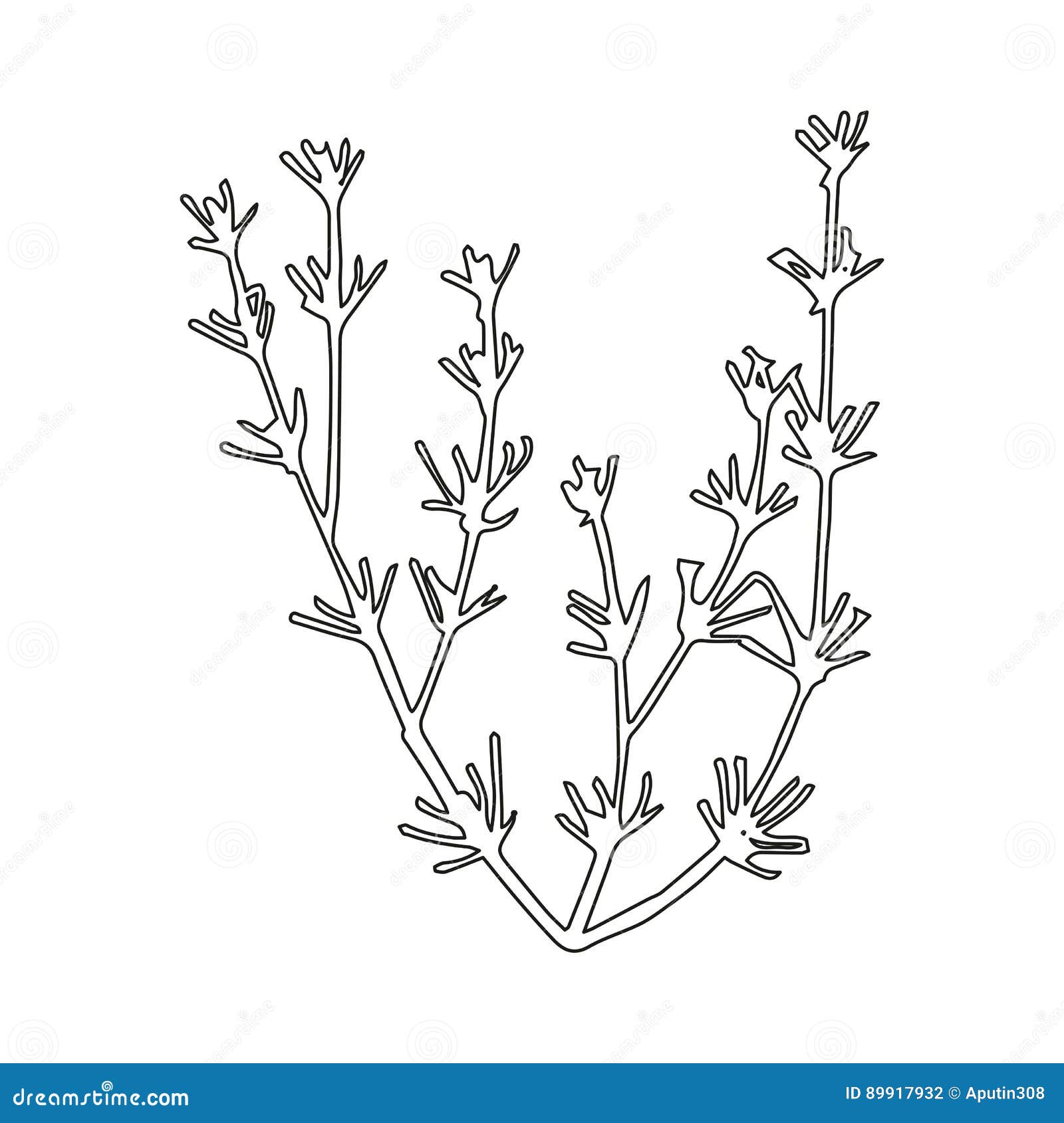 Algae hand drawing vector stock vector. Illustration of icon - 89917932