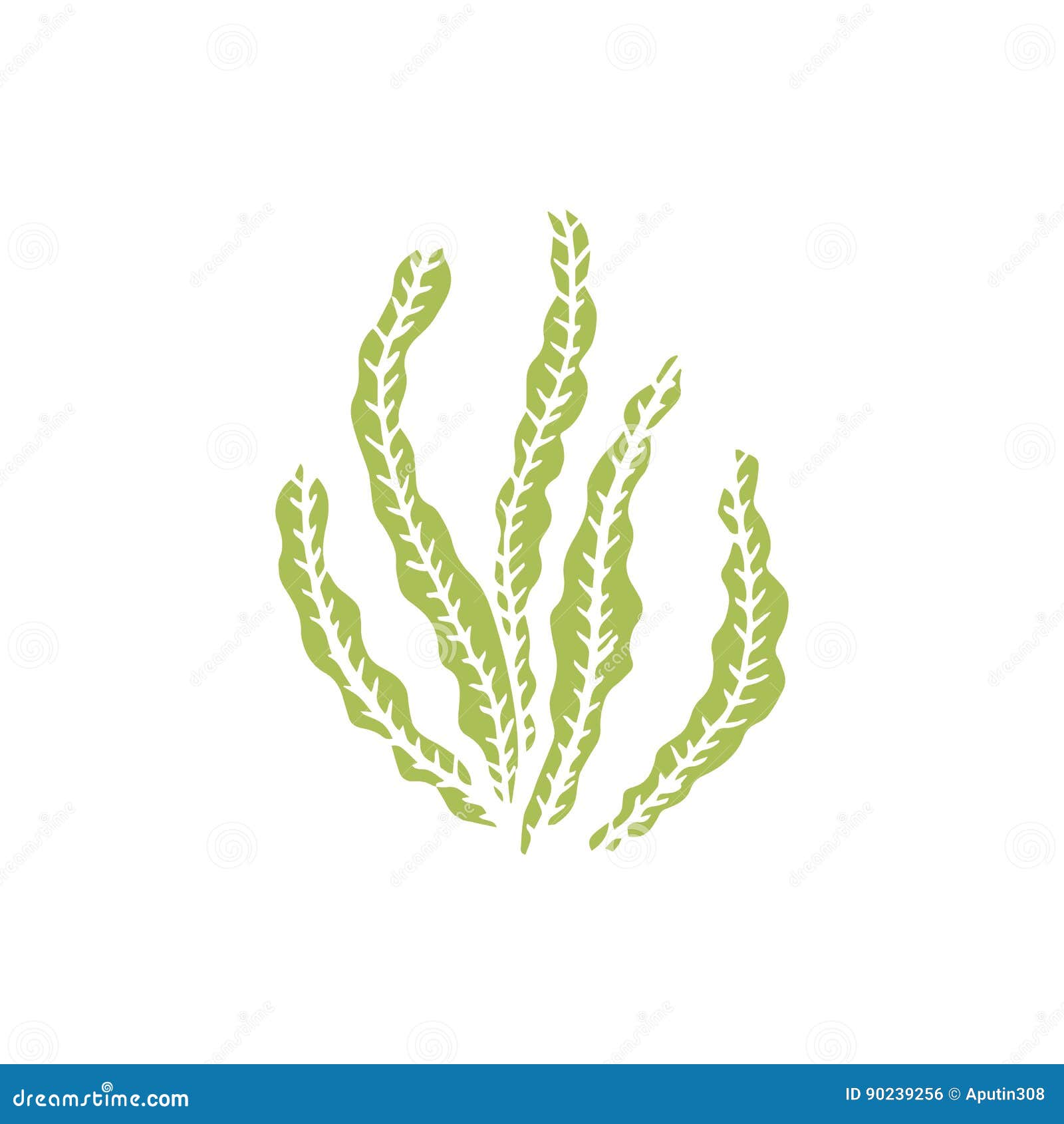 Algae hand drawing vector stock vector. Illustration of nature - 90239256