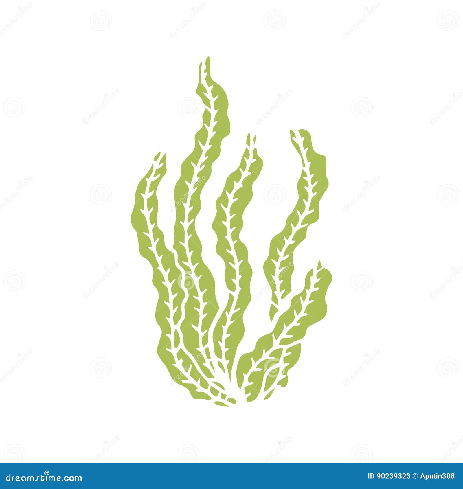 Algae hand drawing vector stock vector. Illustration of decoration ...