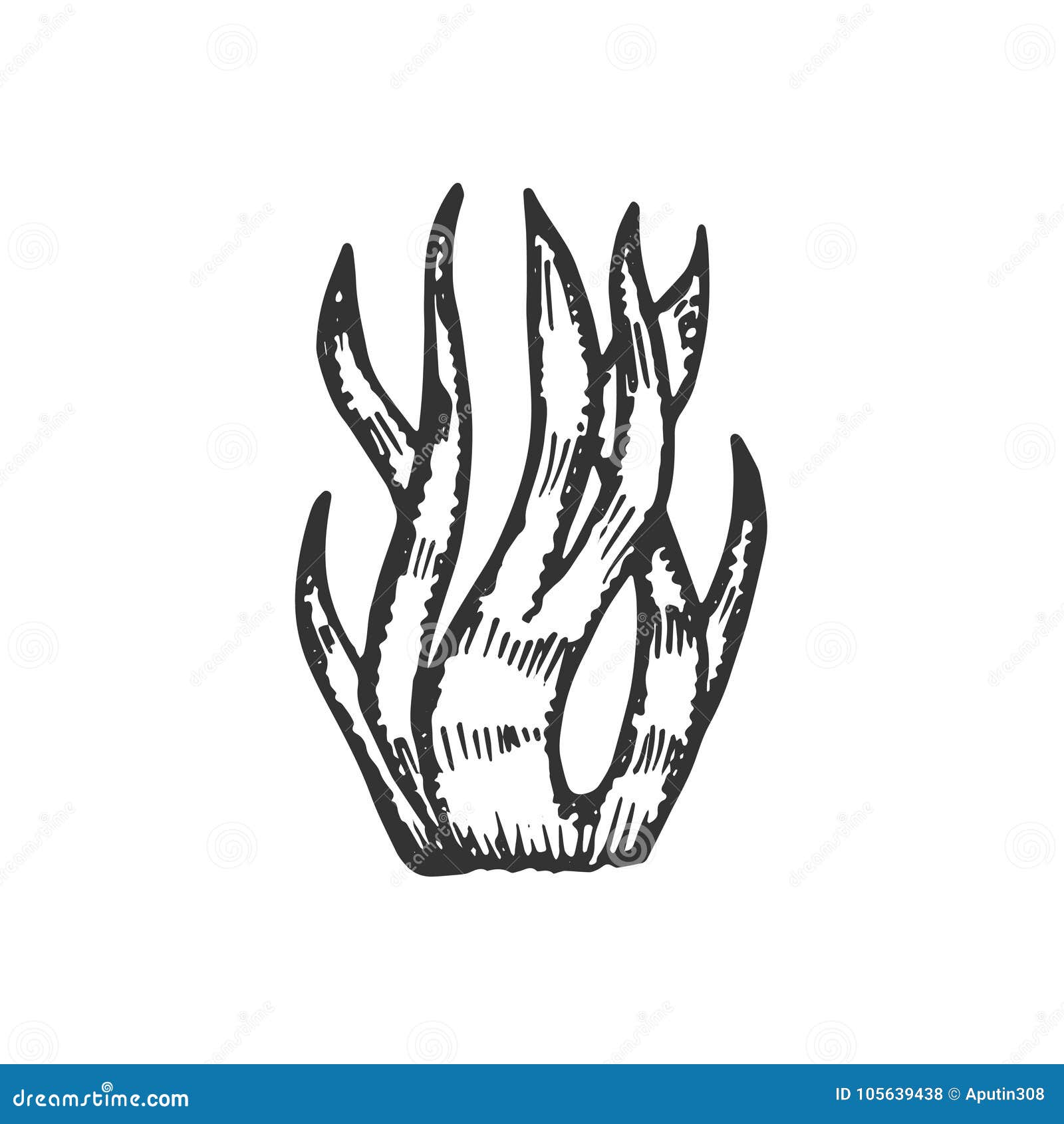 Simple Algae Drawing