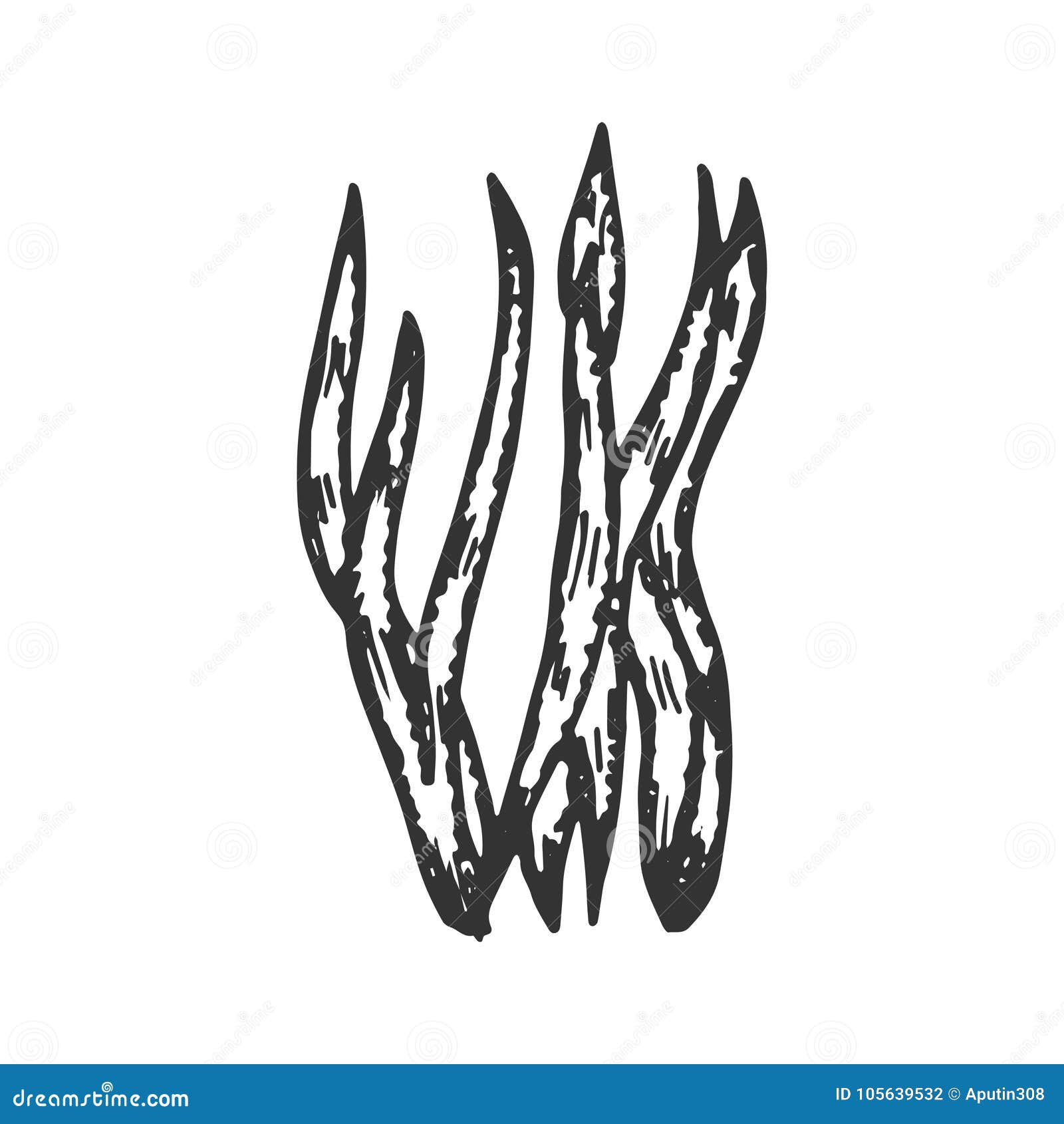 Simple Algae Drawing