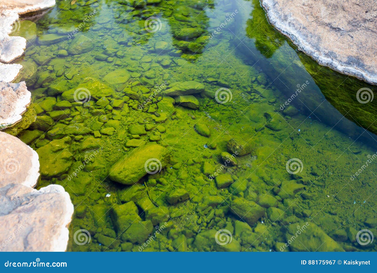 Algae in hot springs. stock image. Image of thailand - 88175967