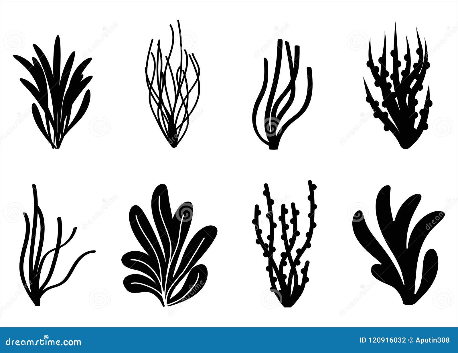 Algae Icon Set. Marine Plants Isolated Stock Vector - Illustration of ...
