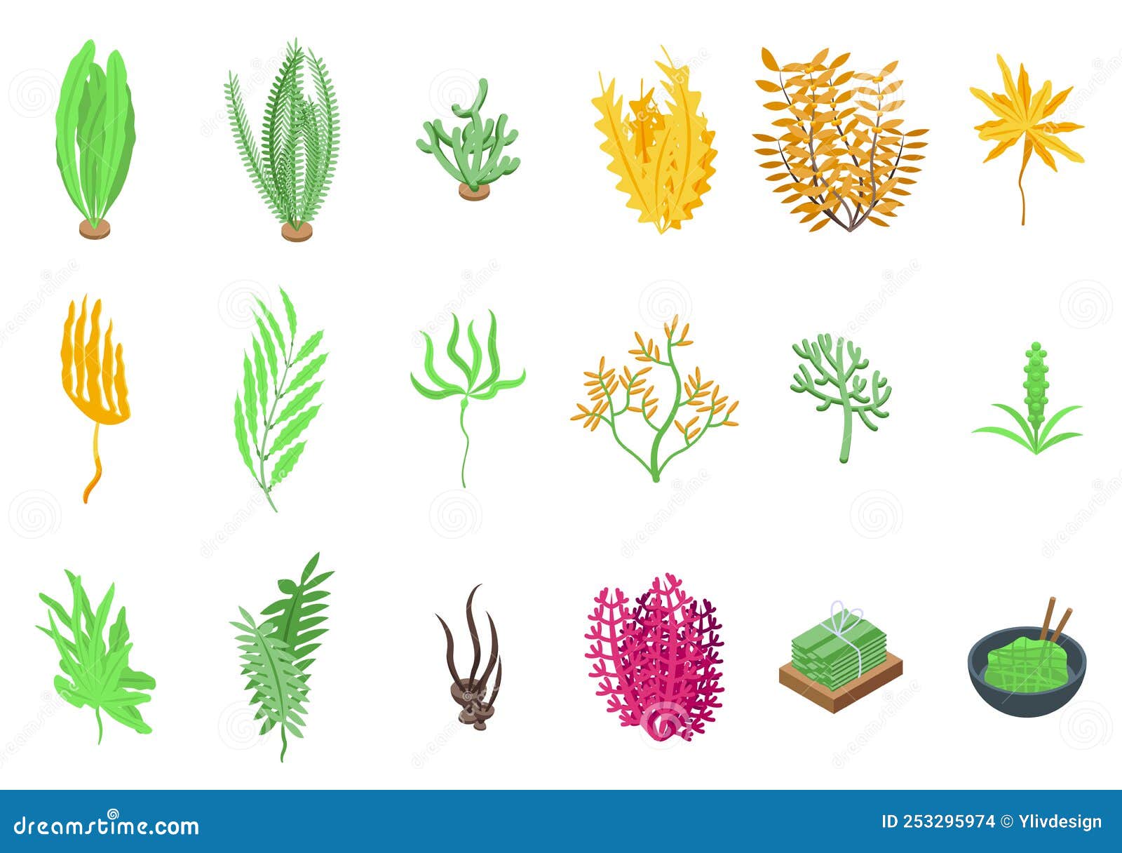Algae Icons Set Isometric Vector. Spirulina Plant Stock Vector ...