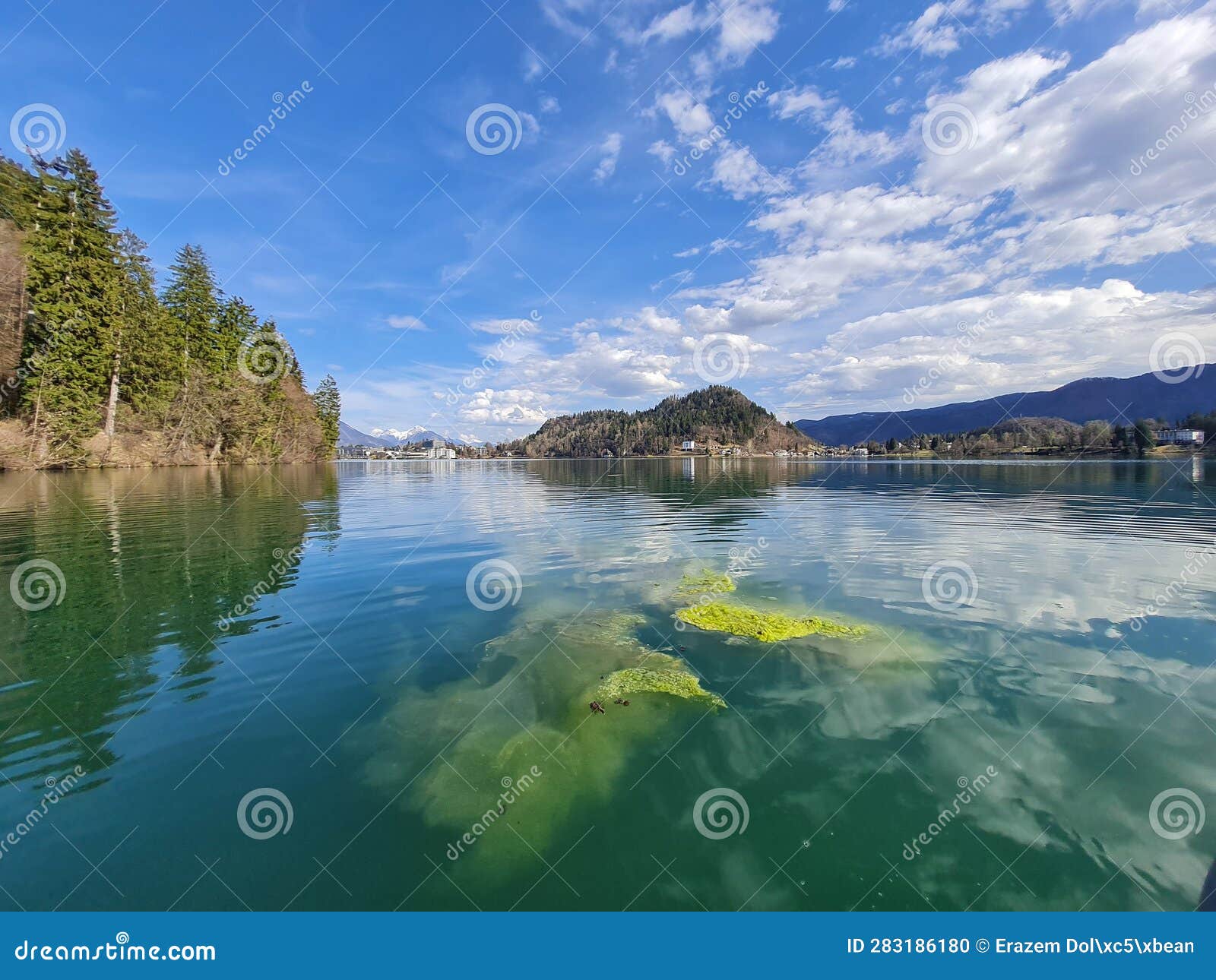 Algae in lake Bled stock photo. Image of europe, hills - 283186180