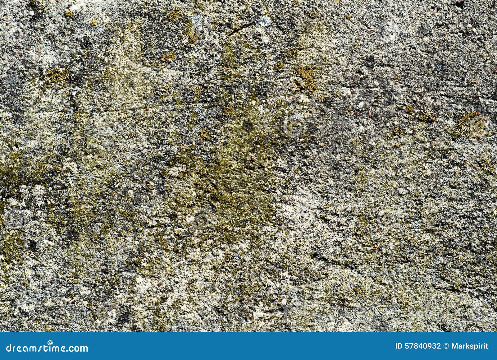 Algae and Mold on a Cement Wall. Stock Photo - Image of exterior ...