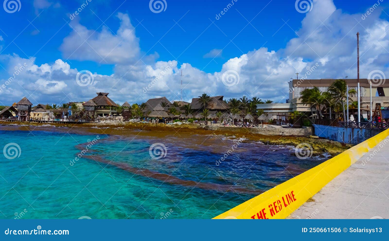 Algae Pollute at Beach in Mexico. Stock Photo - Image of algae, mexico ...