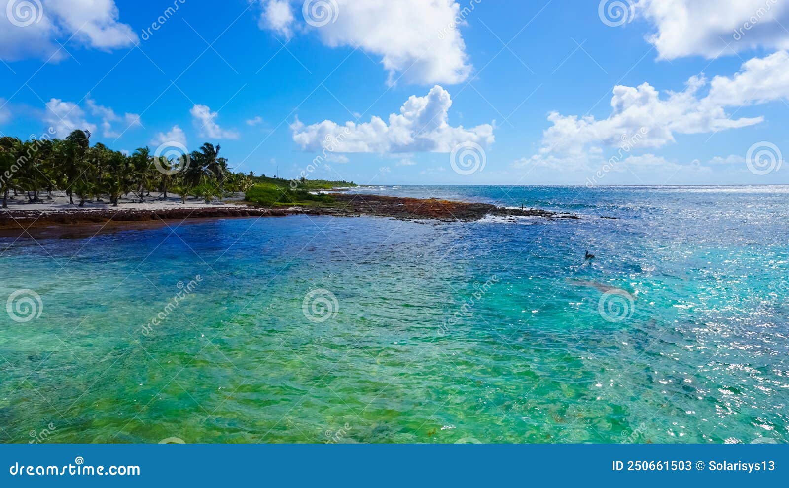 Algae Pollute at Beach in Mexico. Stock Image - Image of algae ...