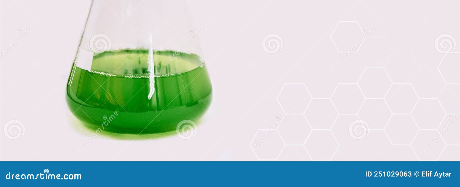 Algae Research in Laboratories, Biotechnology Science Concept, Marine ...