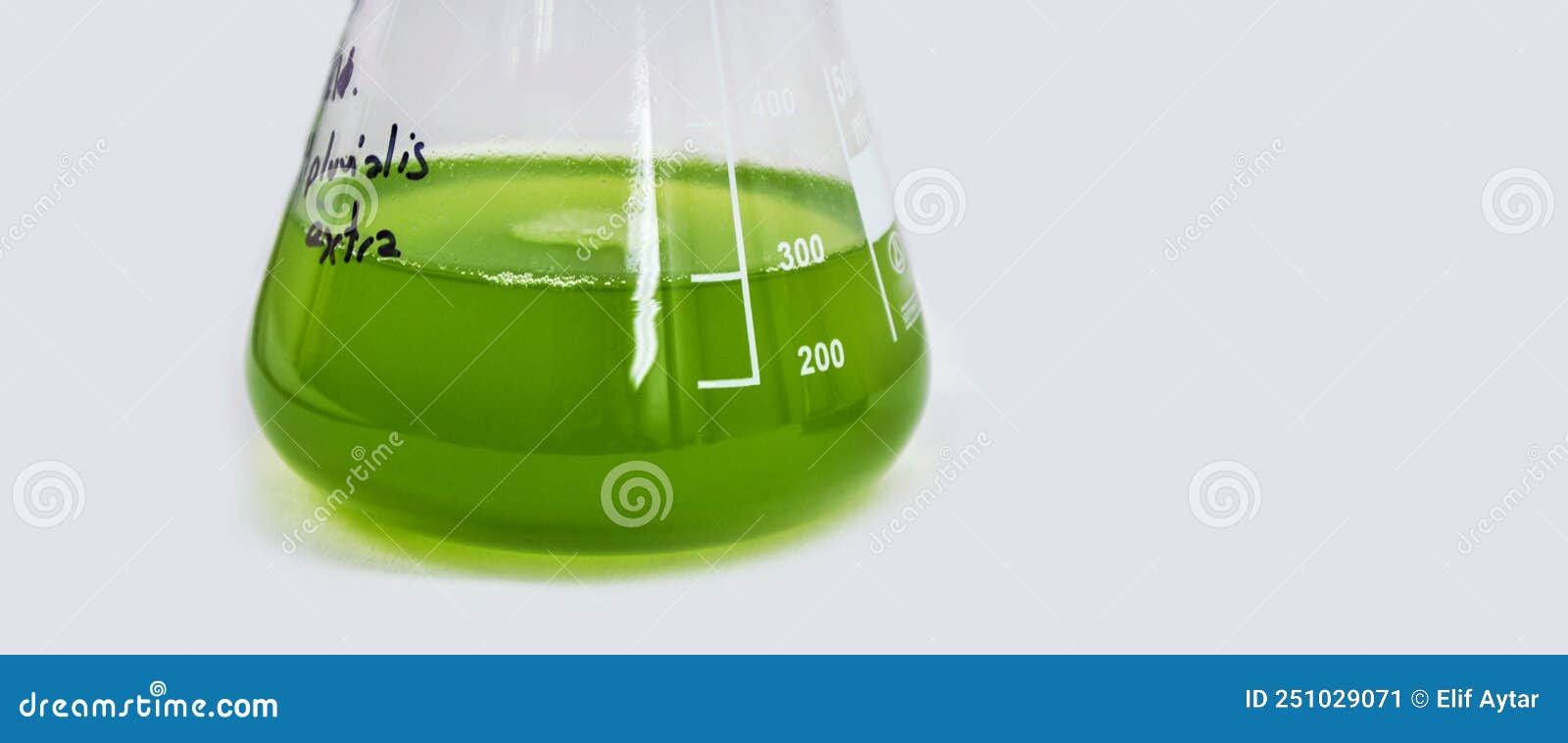 Algae Research in Laboratories, Biotechnology Science Concept, Marine ...