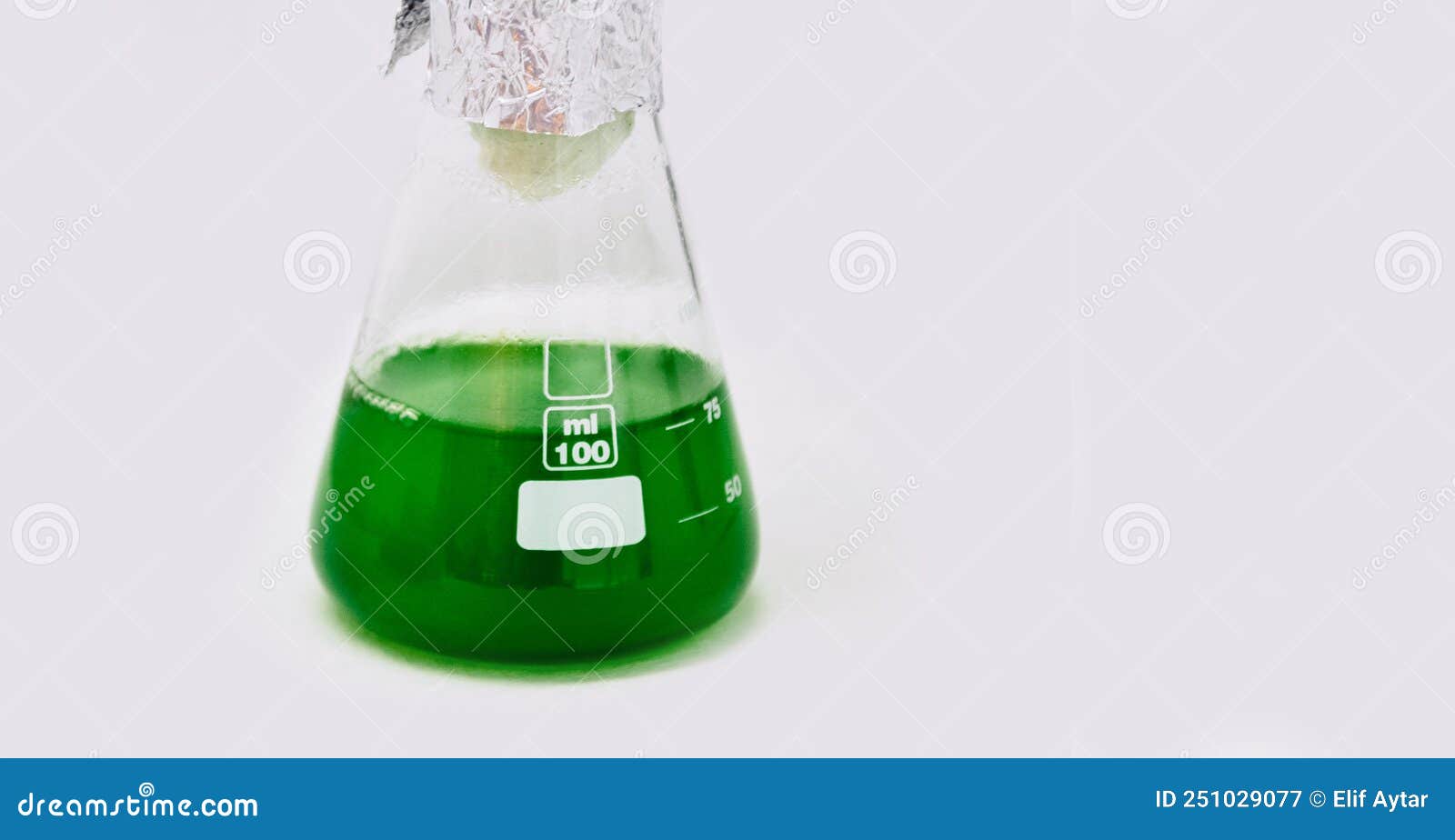 Algae Research in Laboratories, Biotechnology Science Concept, Marine ...