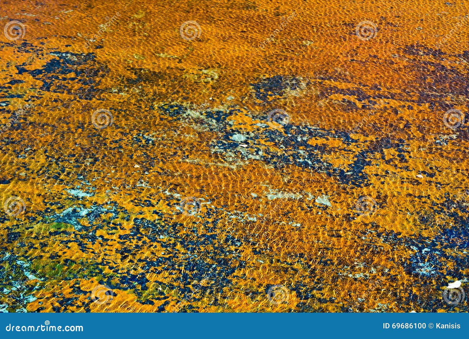 Algae Rusty Sea Bottom As Beautiful Vibrant Background Stock Photo ...