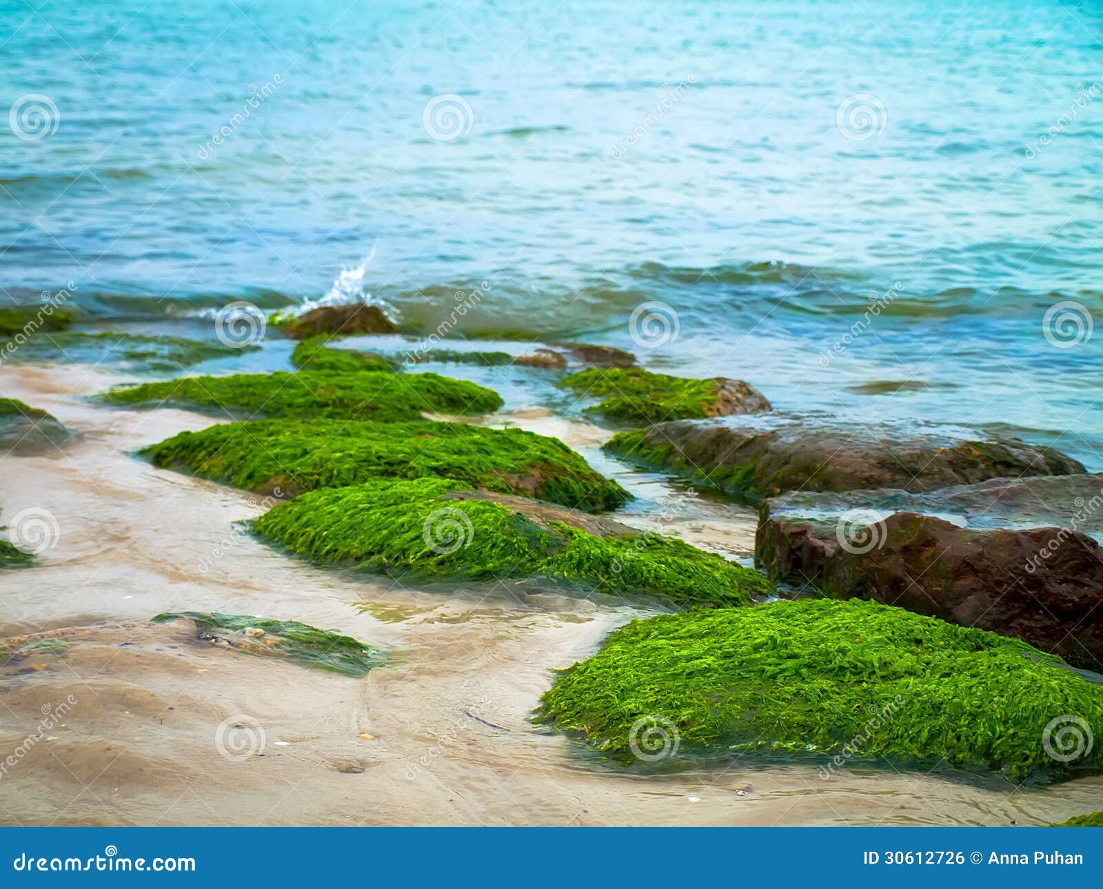 Algae on the sea stock photo. Image of pools, sand, reflection - 30612726