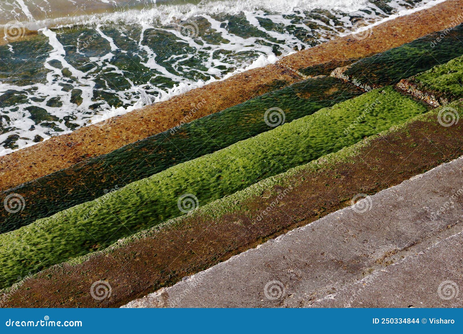 Wet Steps With Algae - Poor Indoor Environment - Haunted And Horror ...