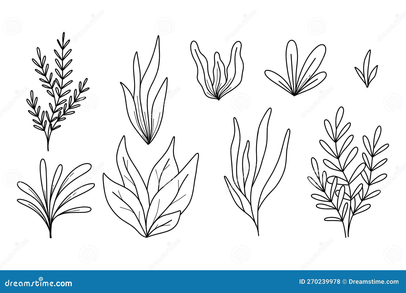 Algae Set in Doodle Style. Algae Collection. Vector Illustration Stock ...