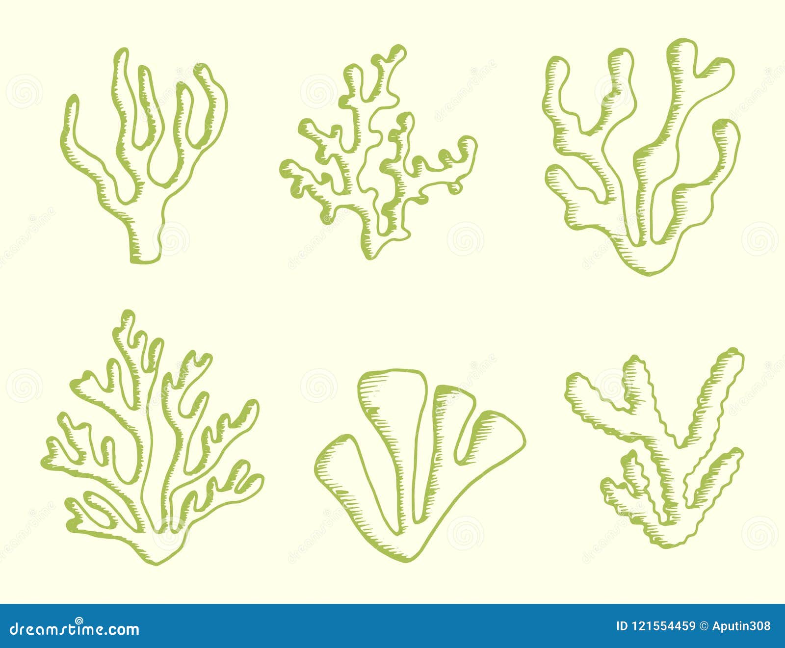 Algae Set Drawing of a Handmade Monochrome Vector. Isolated on W Stock ...