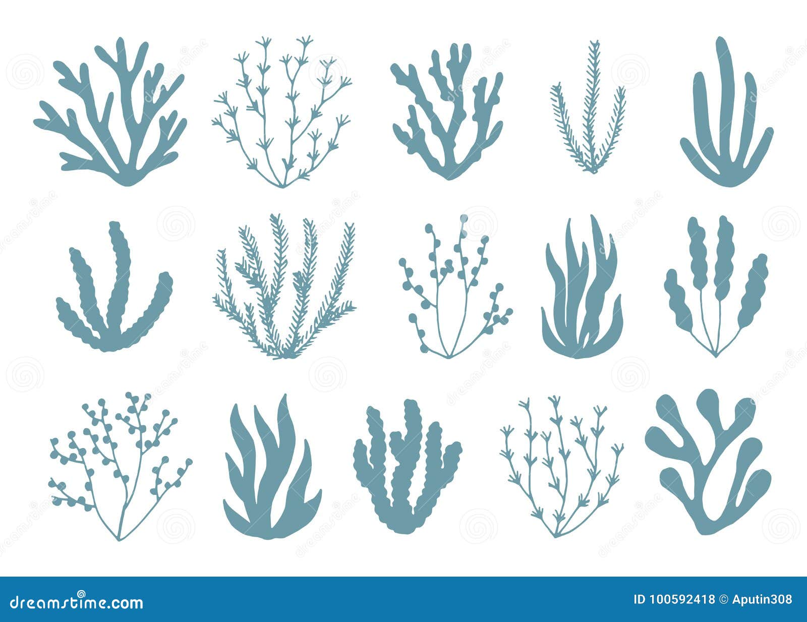 Algae Silhouettes Set of Icons Stock Vector - Illustration of vector ...